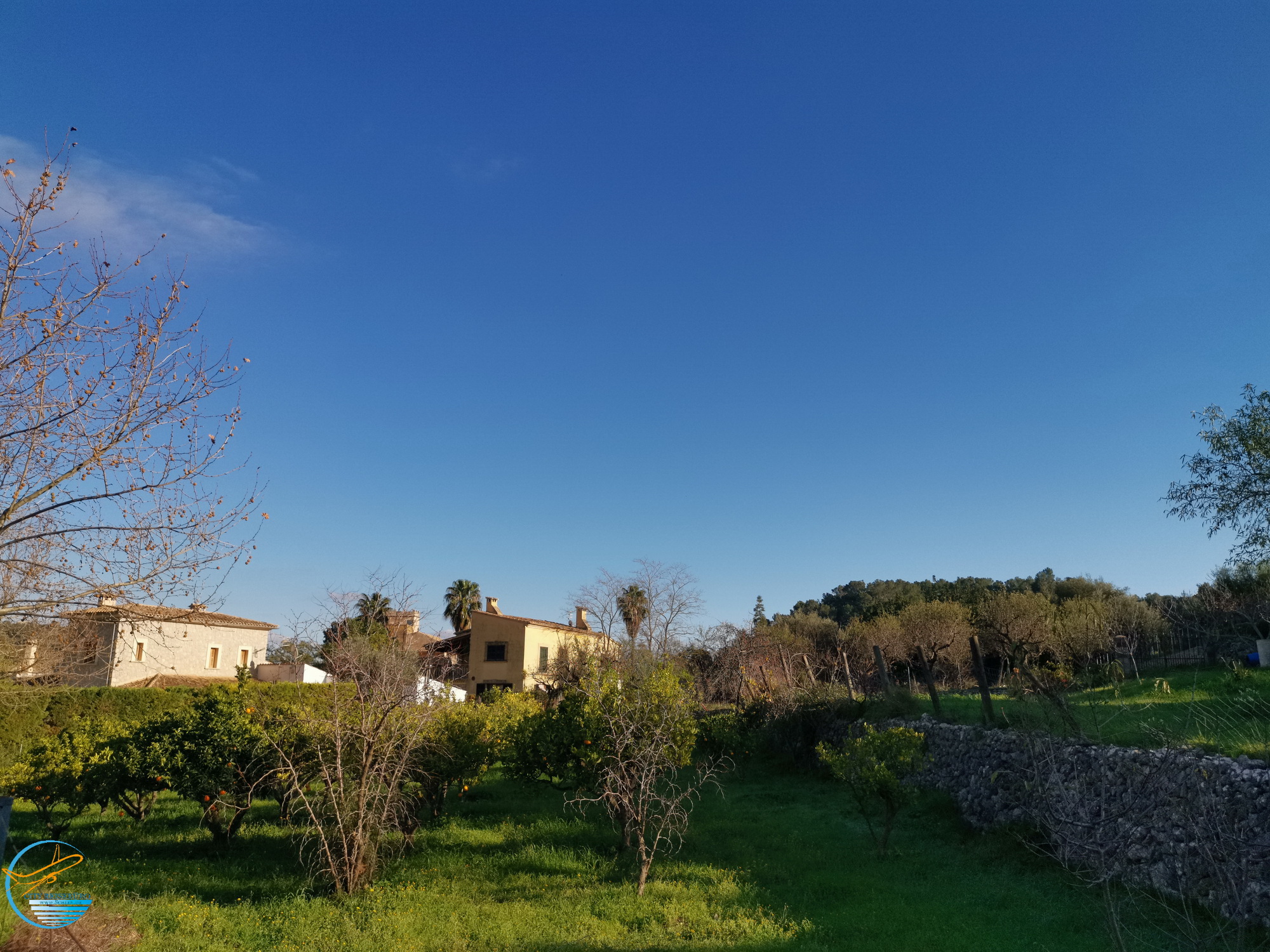 Mancor de la Vall, Mallorca - City Reisebüro Schien, Ihr Mallorca ...
